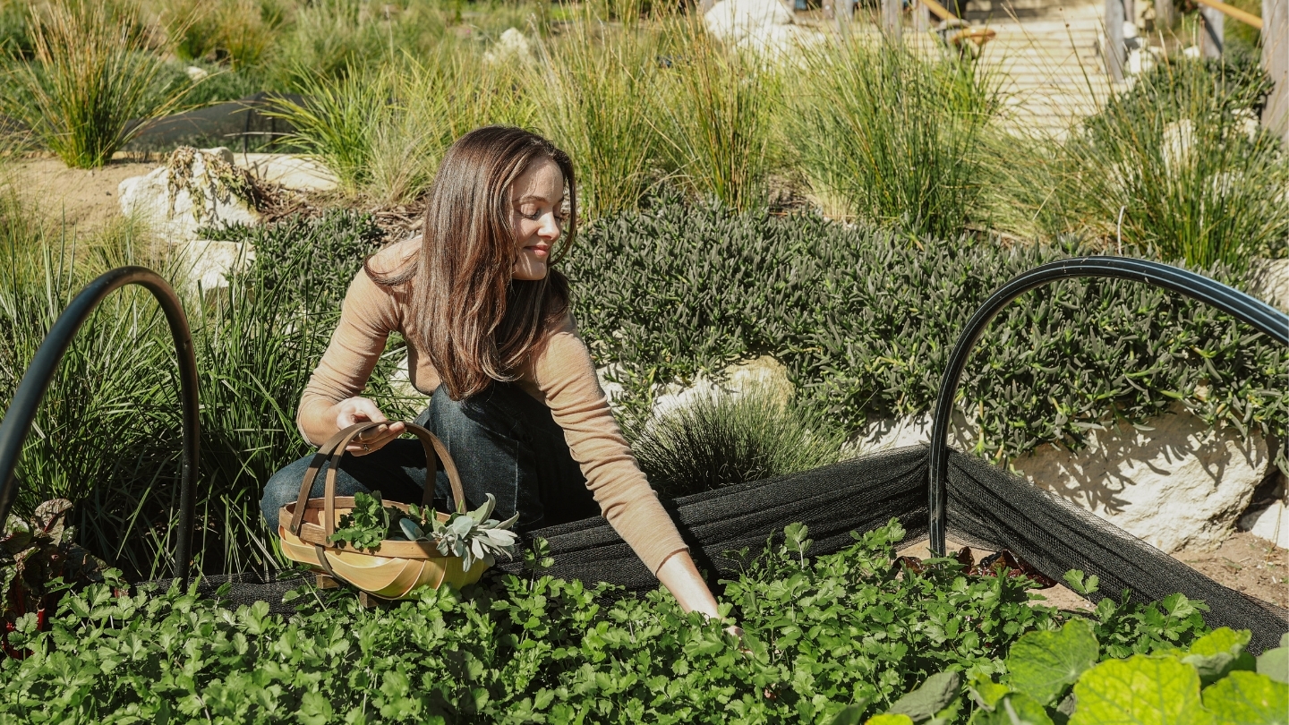 Wellness Edit | Autumn with Freya | Hot Springs.